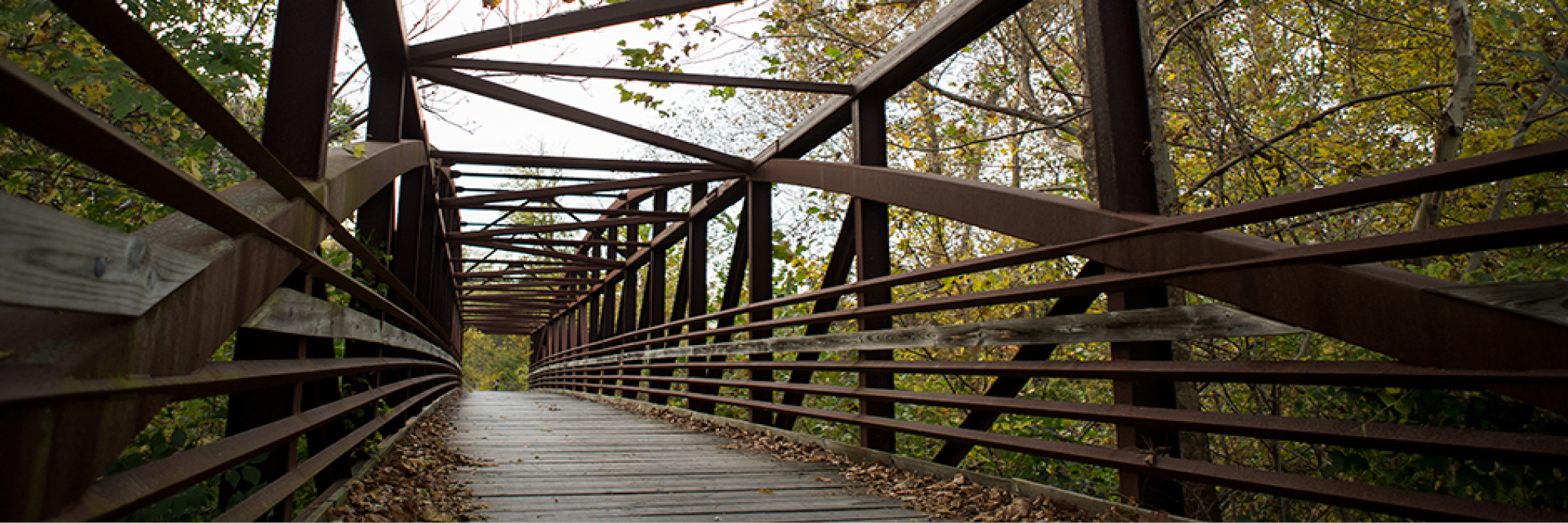 MizzouRec Trail – MizzouRec