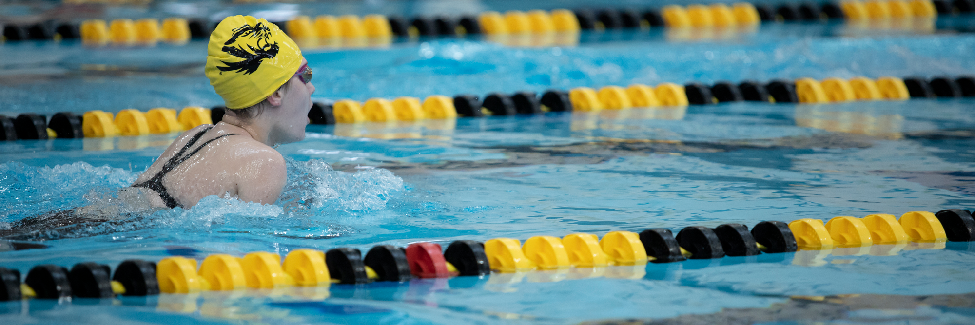 Lap Swim – MizzouRec