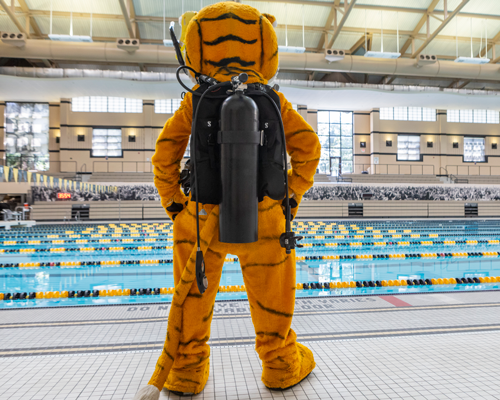 Scuba Certification – MizzouRec